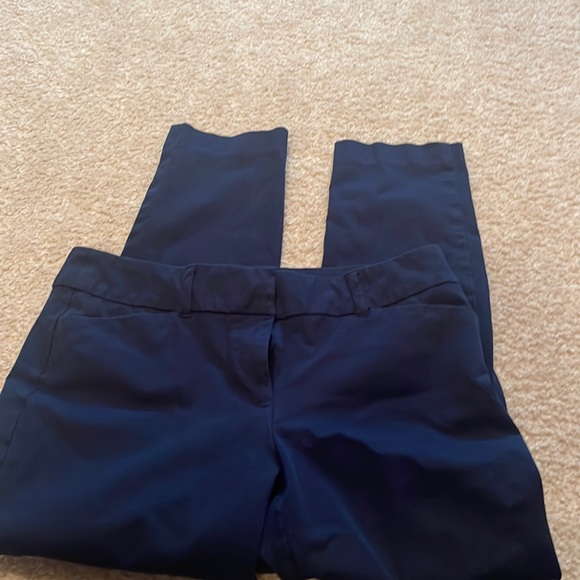 LOFT | Pants & Jumpsuits | Worn Twice Loft Cropped Paints Navy | Poshmark